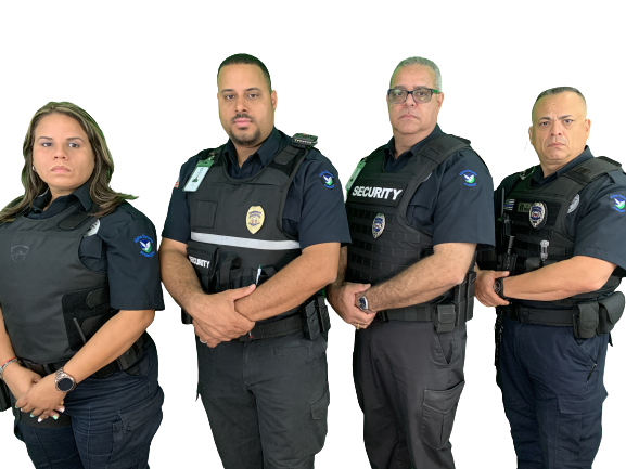 Security Training Academy | Security D License | Security School